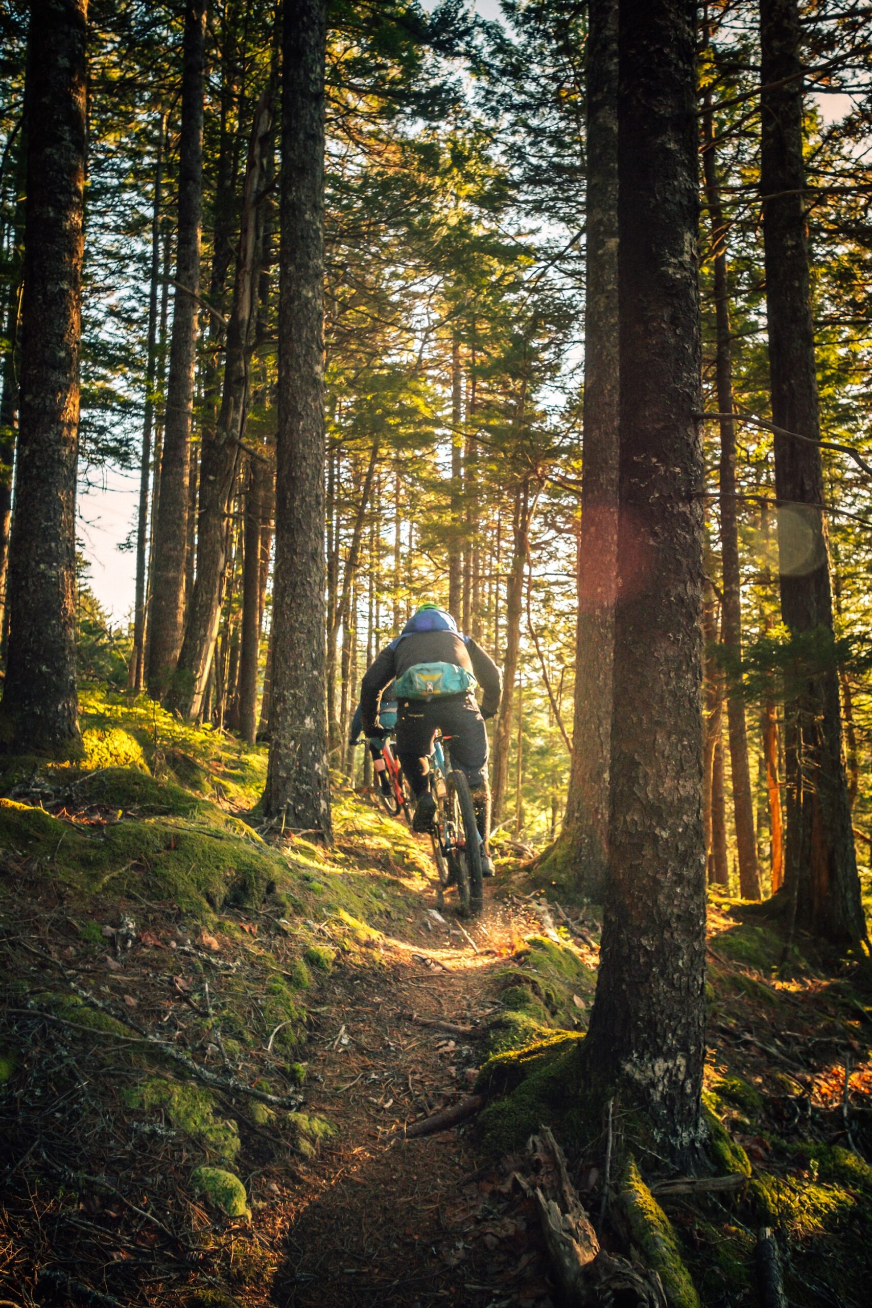 Best Mountain Bike Trails for All Skill Levels