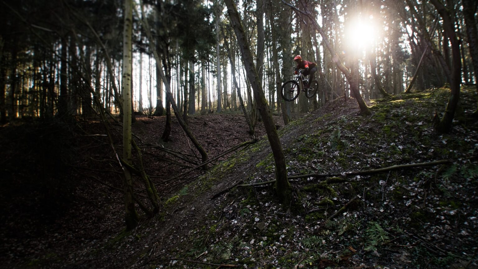 Single Track Mountain Biking: Tips & Techniques
